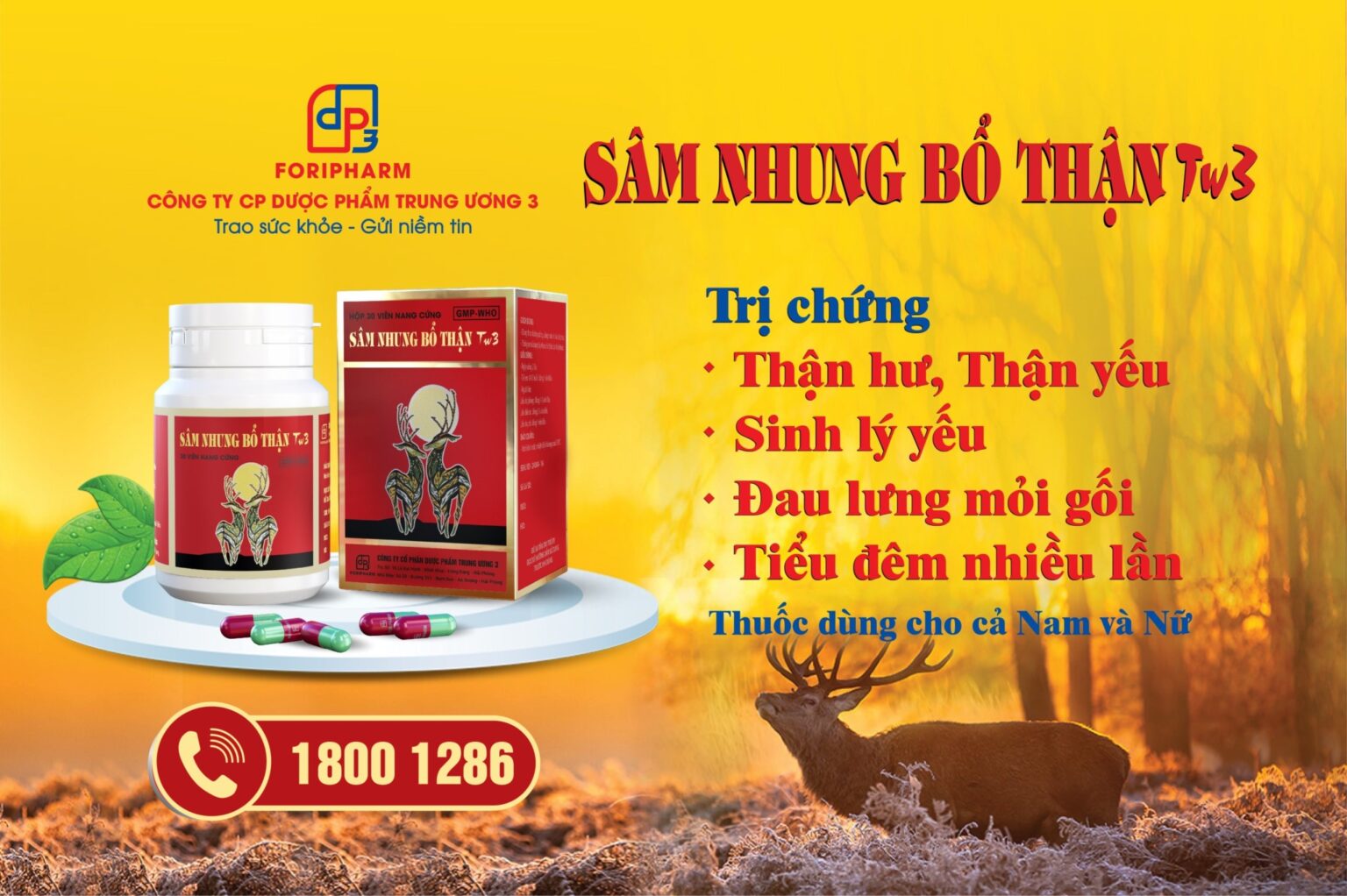 Bài thuốc Sâm nhung bổ thận chữa thận hư thận yếu hiệu quả